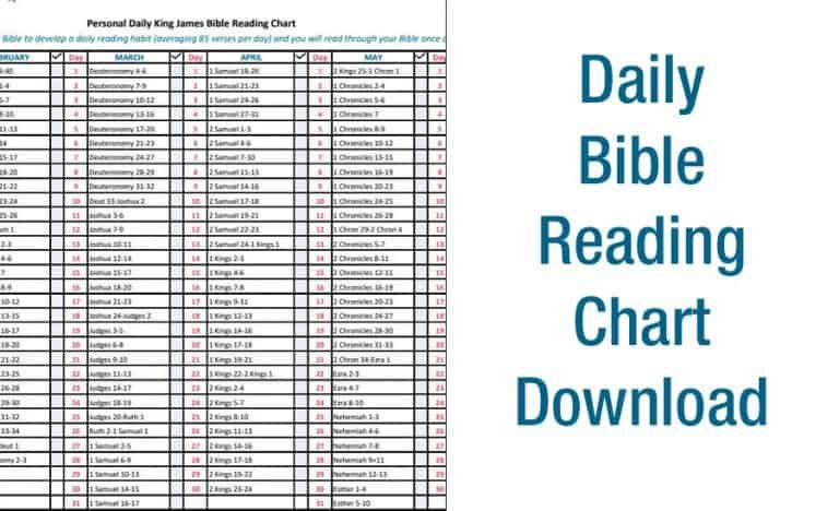 Daily Bible Reading Chart - Created for His Pleasure
